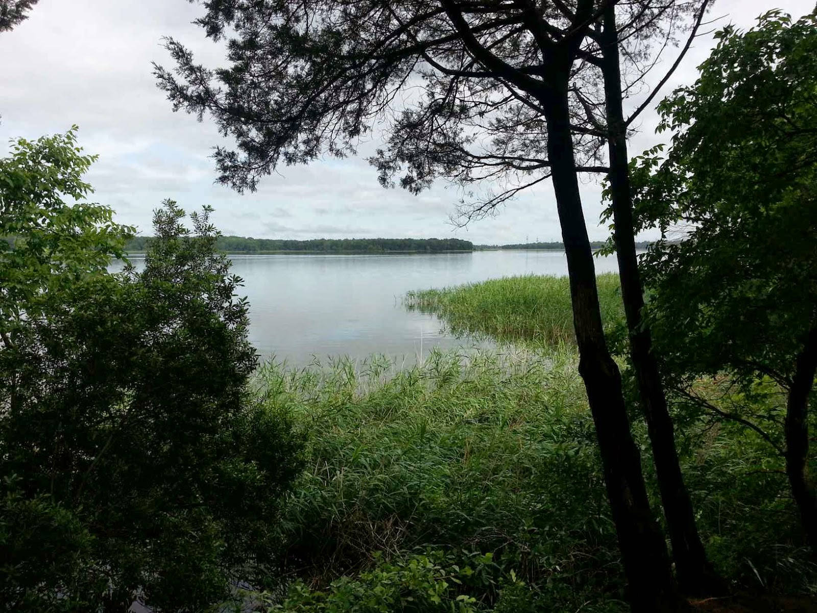 The Texan Woods: Fairfield Lake State Park
