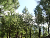 See My Nepal (Photo Blog): Resunga View, Resunga Forest of Gulmi ...