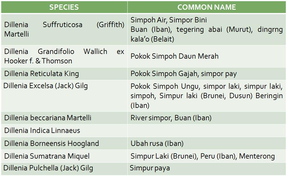 All About Science: SIMPUR (Brunei's National Flower) Story