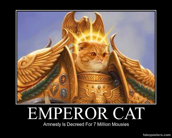 The BLOG: Emperor Cat Blog Friday