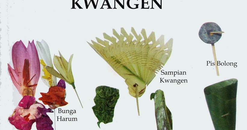 Terbaru 46+ Bunga Yang Mekar Sehari Dalam Setahun, Gambar Bunga