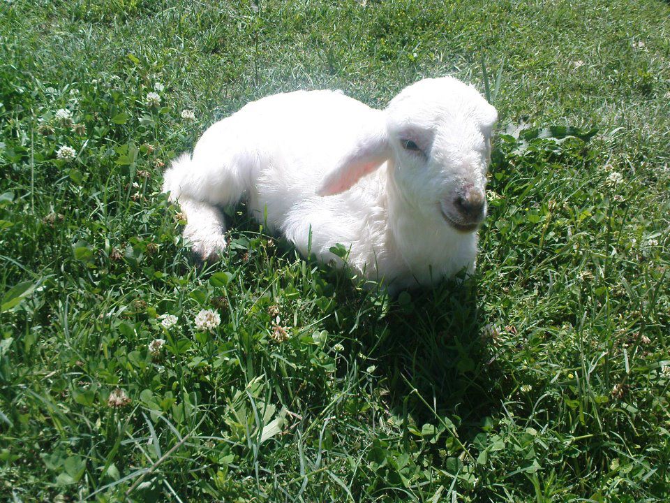 Poonch Azad Kashmir : Beauty of Poonch Kashmir