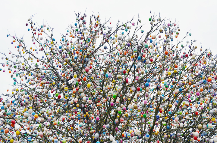 The One with the Osterbaum / Easter Tree | Paige Taylor Evans