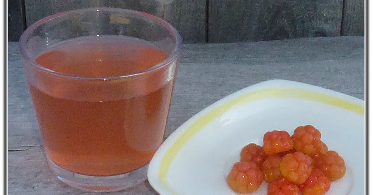 Gör egen kombucha! Scoby svamp till salu, skickas med vanlig post på 1 ...