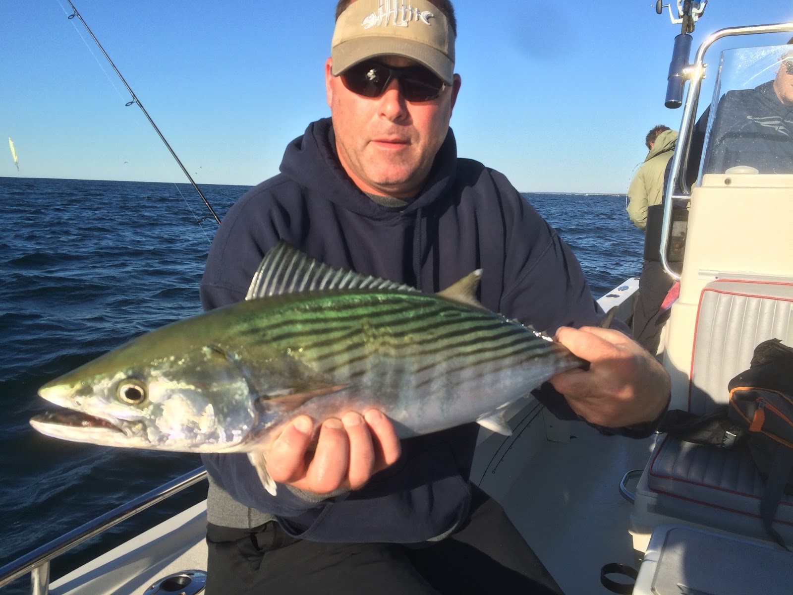 Boston Fly Fishing and Report: False Albacore Fall 2017