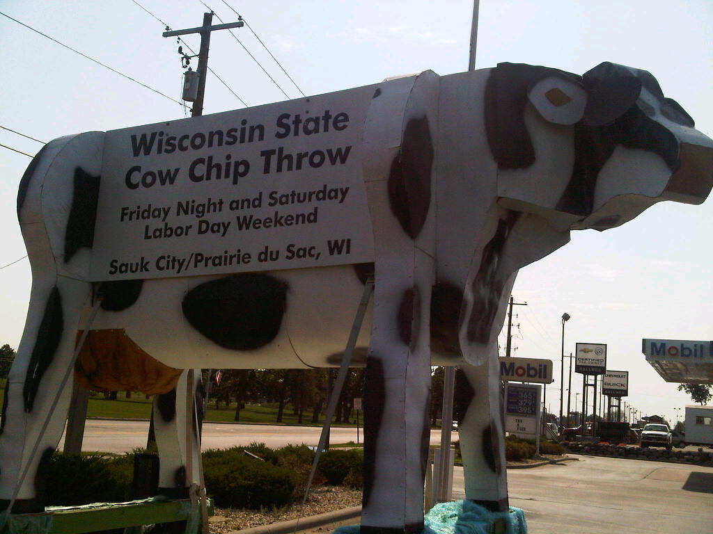 Jet Set Mom: Wisconsin Cow Chip Throw