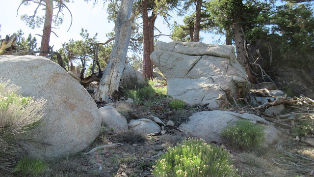 Iron Hiker: Toro Peak West and Santa Rosa Mountain
