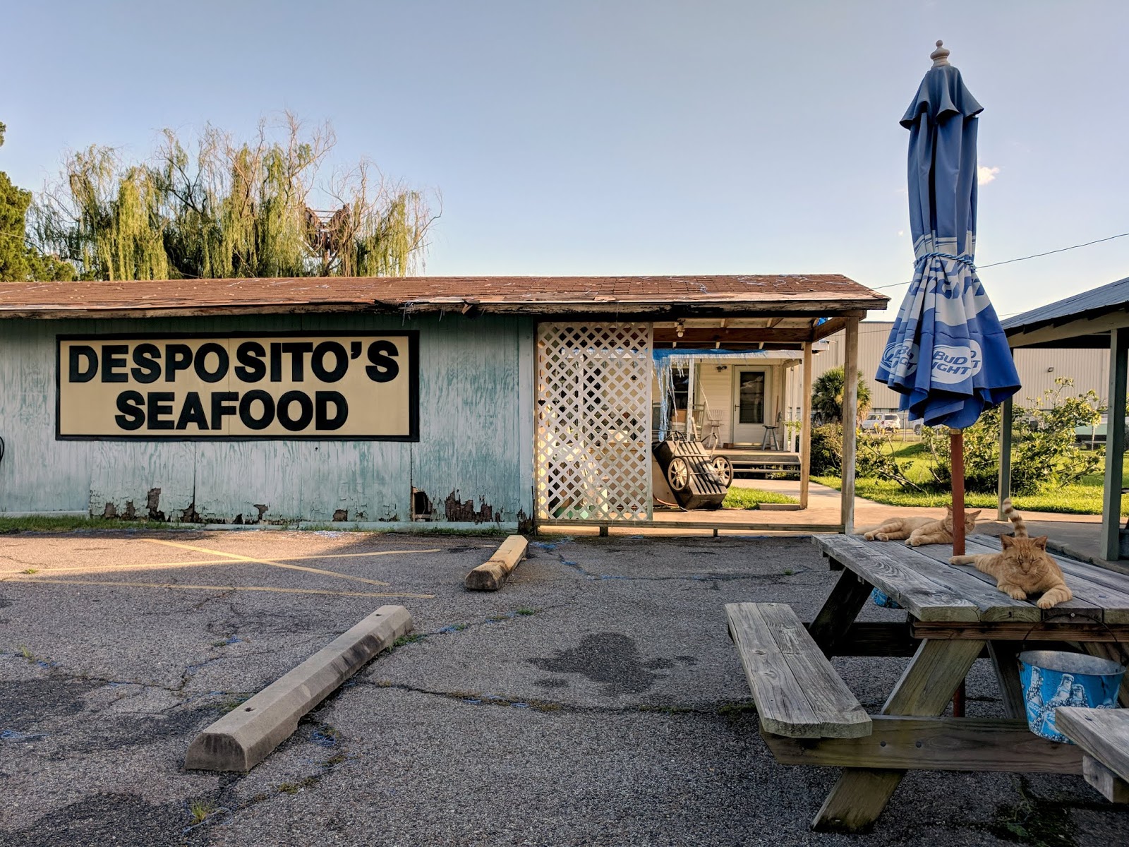 The Rural Blog: Family-owned fish shacks in rural Georgia are disappearing