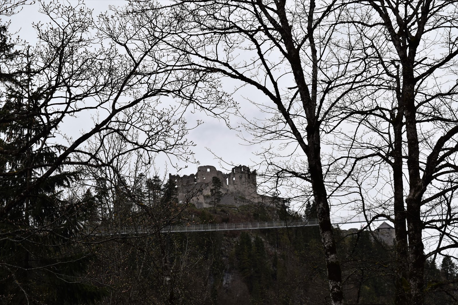 The Gingham Owl: Europe Adventure: Day Twenty Two- The Black Forest ...