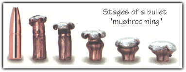 on target shooter nz: "DUM-DUM" Expanding Bullets: