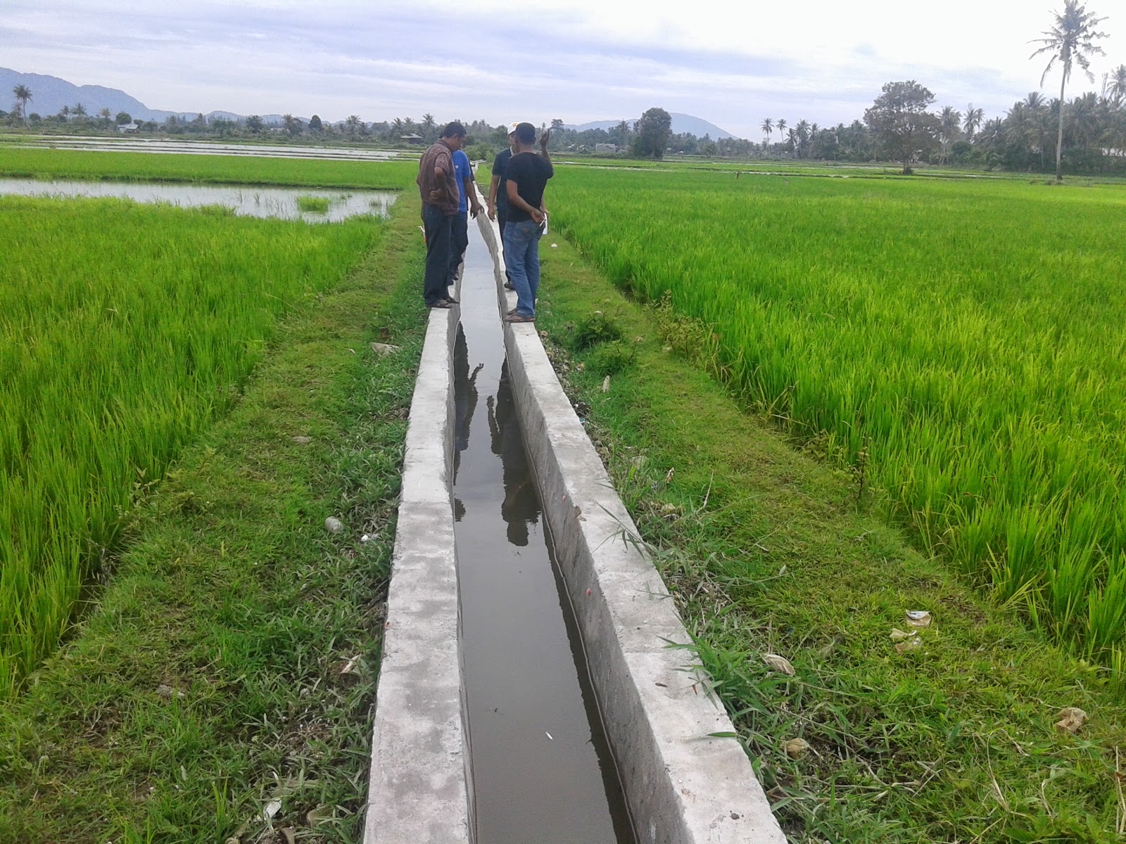 Petak Tersier - RANTING INDRAPURI