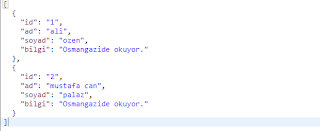 Android Programlama: Volley - Array - ObjectRequest Örneği