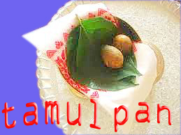 Compulsive pursuits into quaintness: About a Nut……..and a Leaf