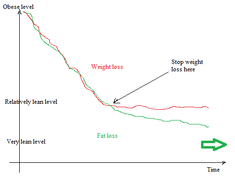 Health Correlator: Gaining muscle and losing fat at the same time ...