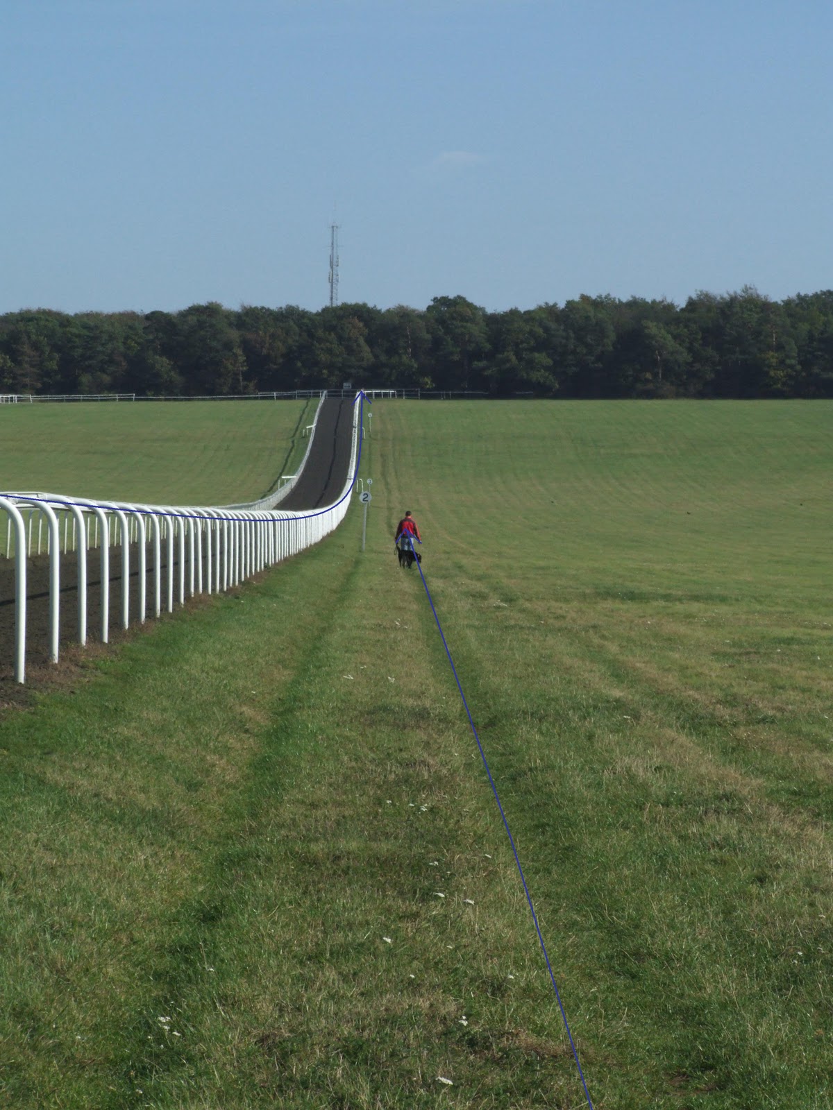 Gemma Dorling Photography: Project: Using lines in composition ...