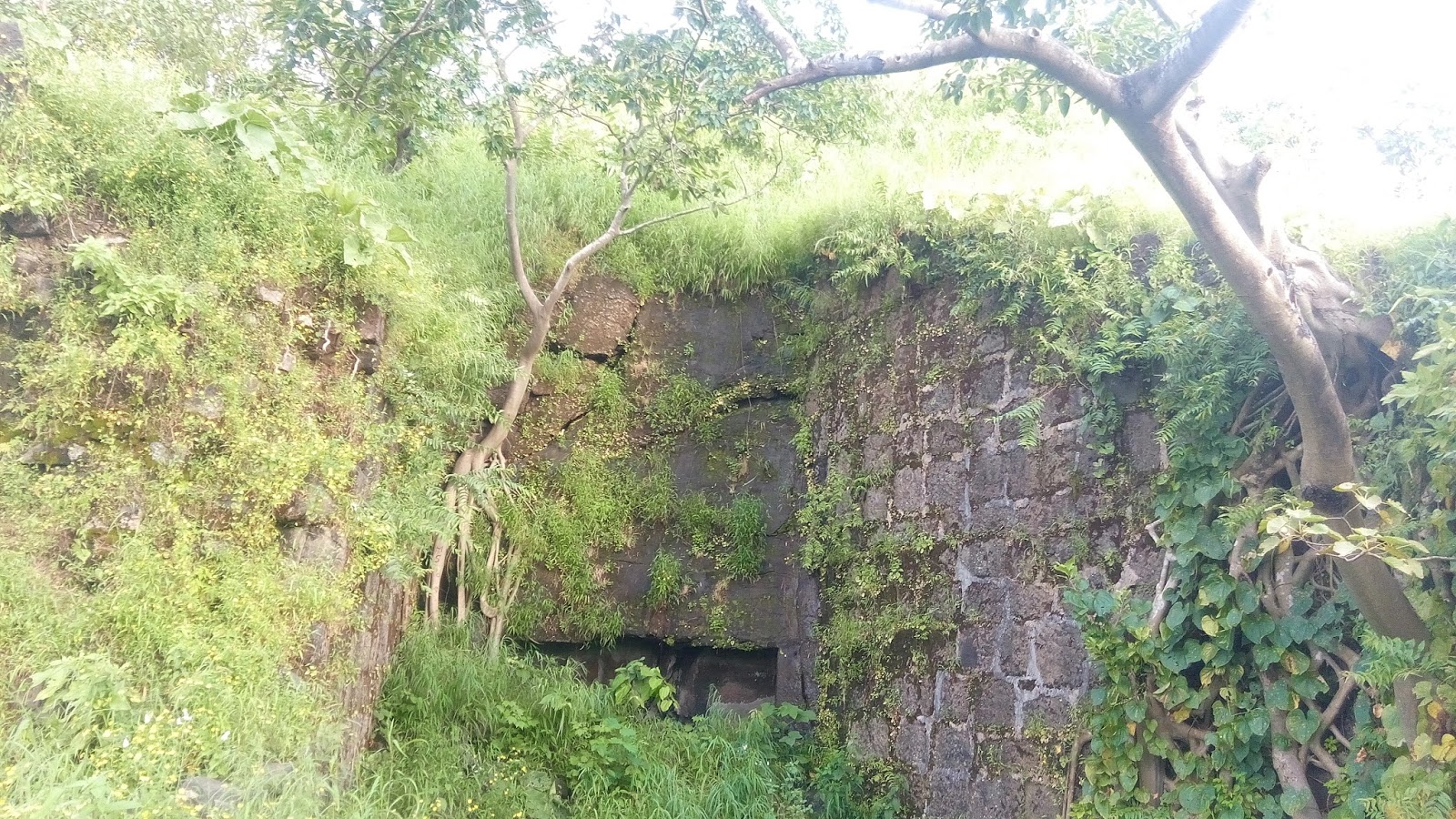 Ghosalgad Fort located near Roha in Raigad District in Maharashtra ...