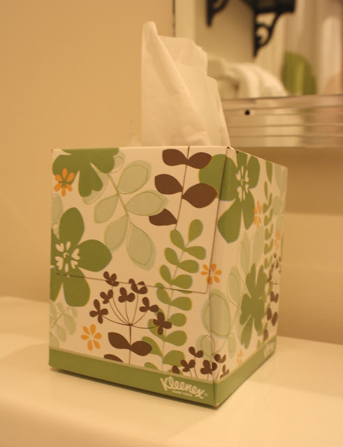 Meet Me in Philadelphia: My Custom Fabric-Covered Tissue Box Cover