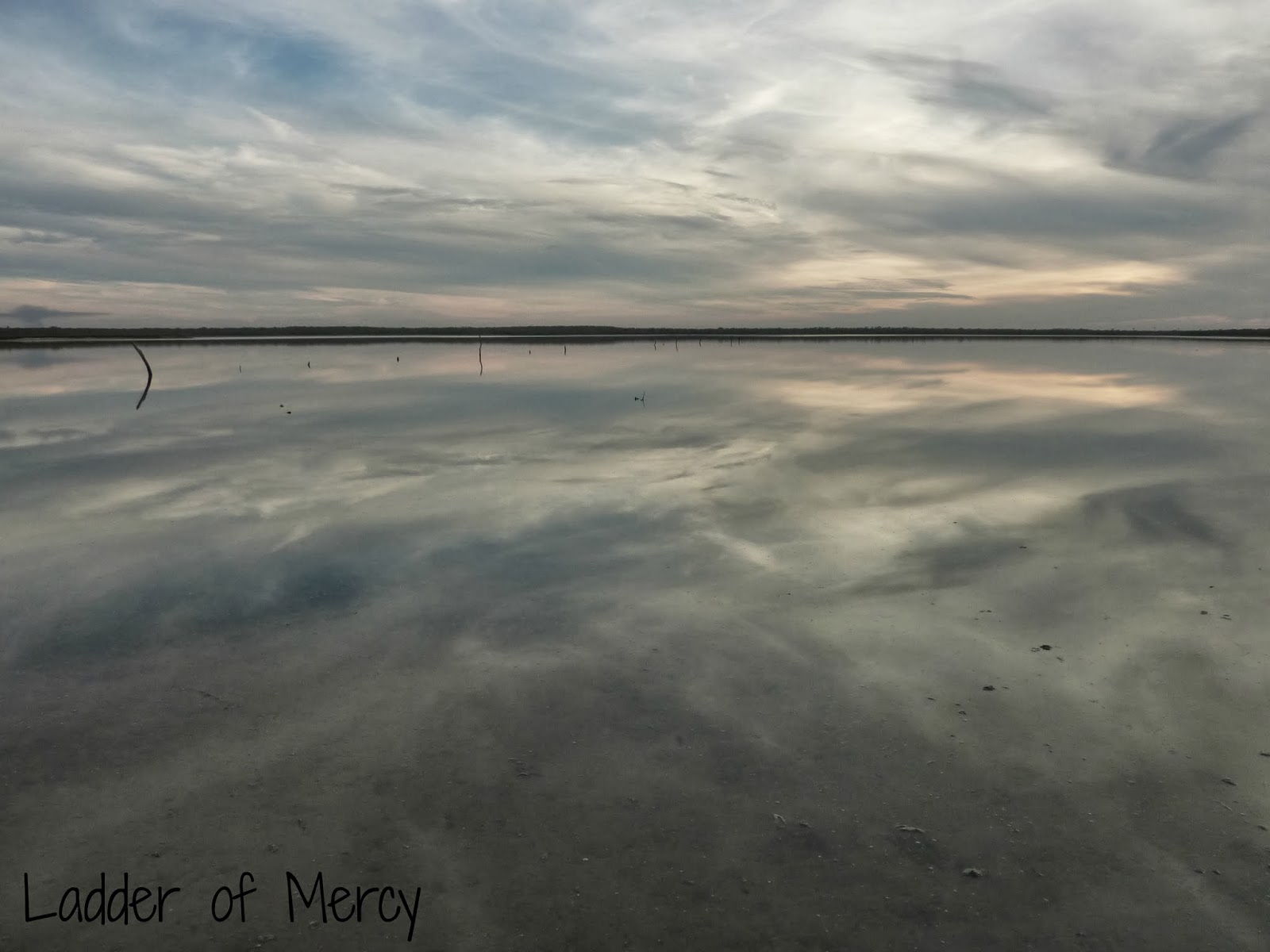 Ladder of Mercy: Loving the Details, Even in Leviticus