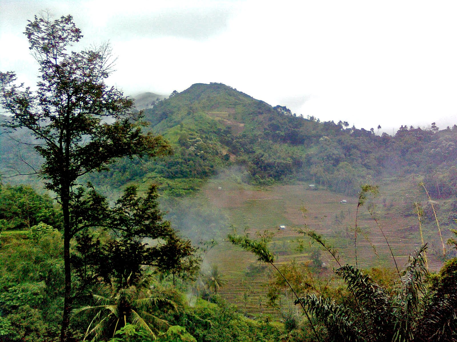 "P I N O K I O Z E": Alam Desa