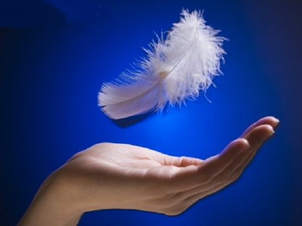 ☆Mágico y Celestial☆: La Pluma de un Ángel