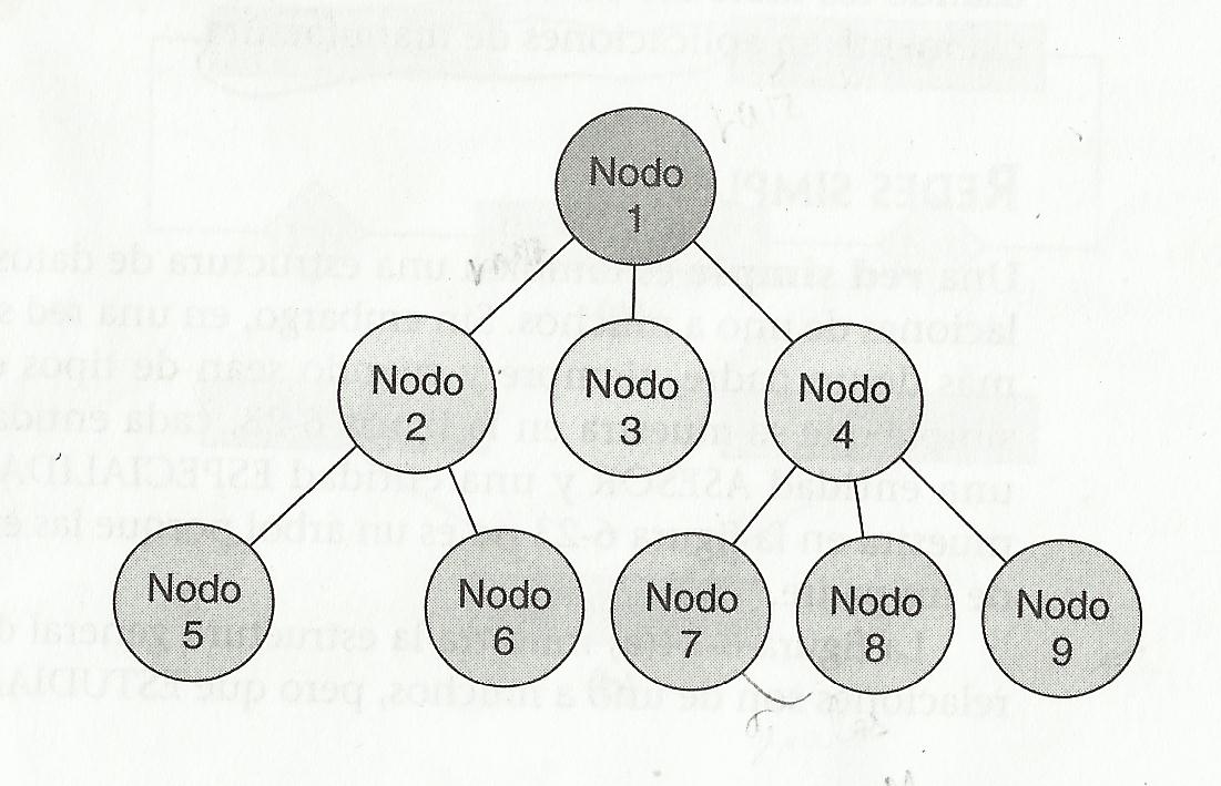 EL MODELO DE DATOS JERÁRQUICO | MODELOS DE B.D.