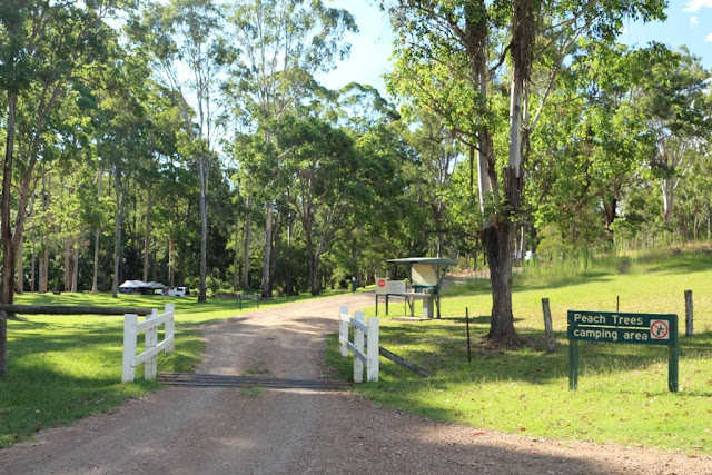 National Park Odyssey: Peach Trees Camping Area, Jimna State Forest, QLD.
