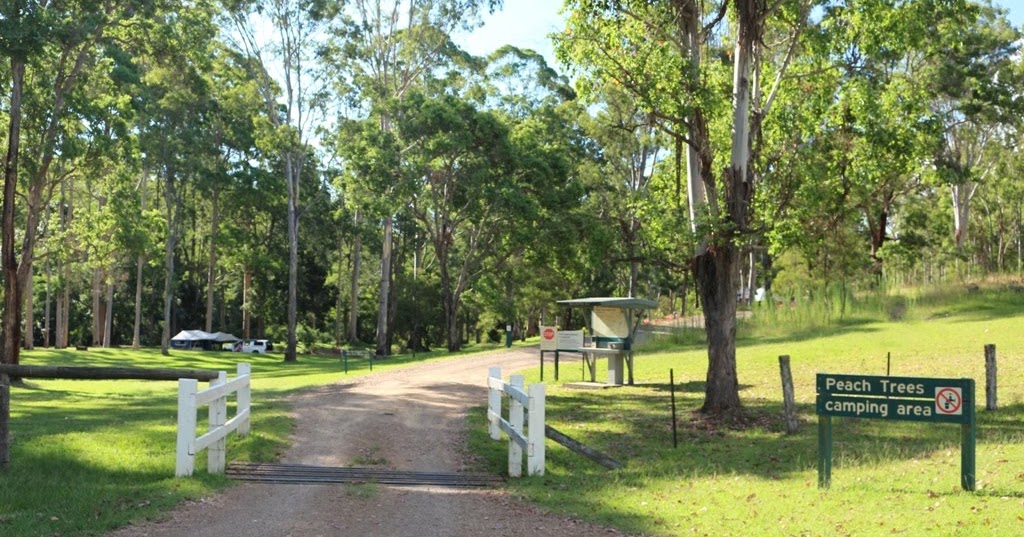 National Park Odyssey: Peach Trees Camping Area, Jimna State Forest, QLD.