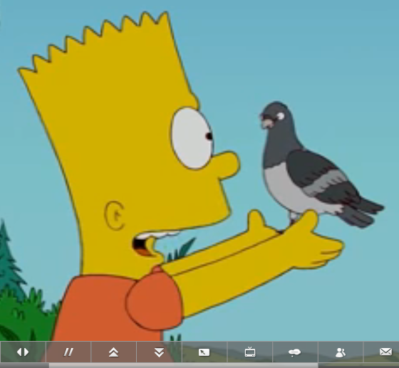 Fanatical about Pigeons