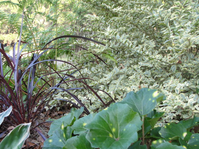 Simply Susan: So Long April...