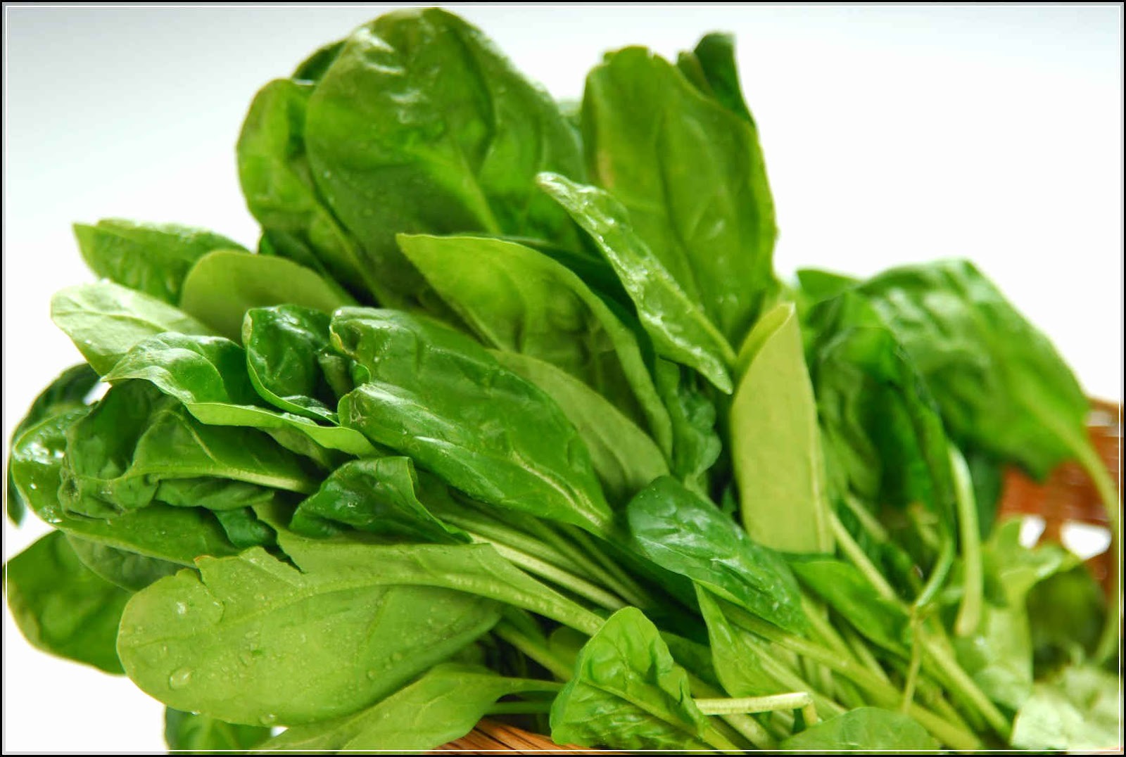 Berbagai Macam Tanaman Hias: Manfaat Bayam Bagi Kesehatan Tubuh