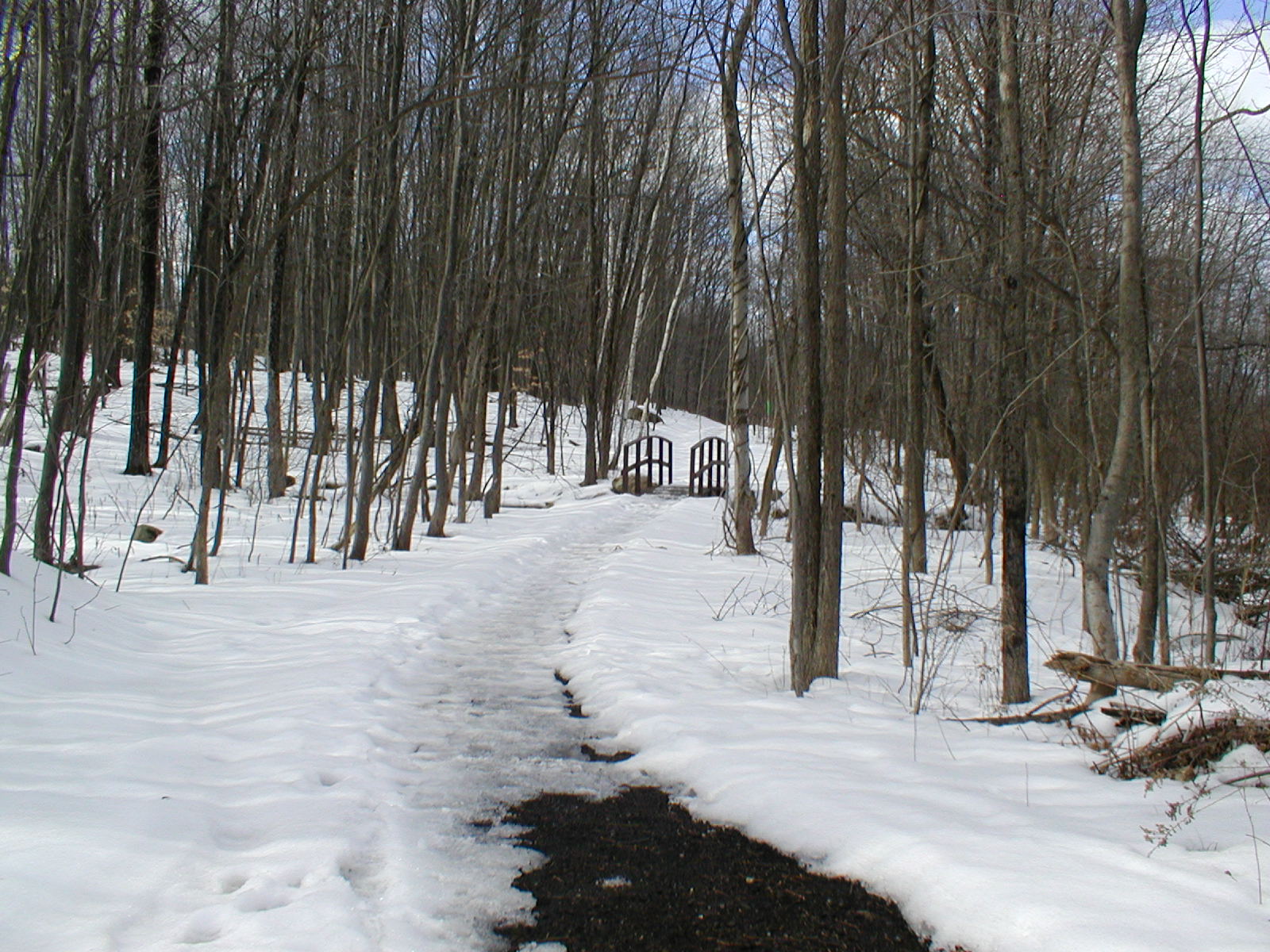 Onestep Outdoors!: Garcelon Bog Conservation Area