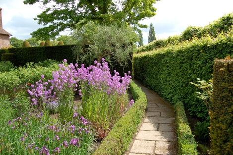 Juniper Hill: Hedge Layering