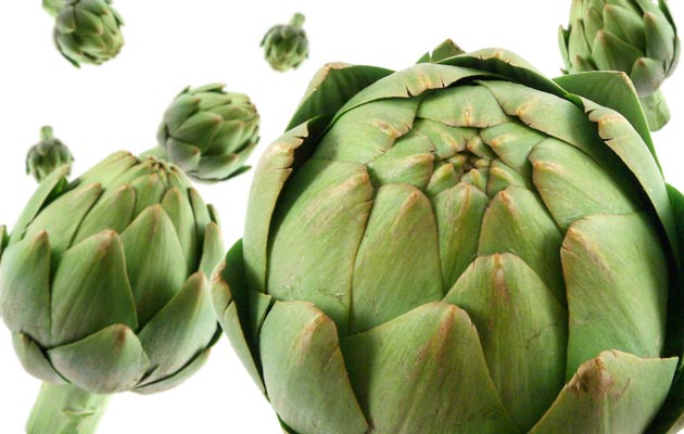 Noti Agro - Noticias e Información del Agro y del Campo Argentino ...