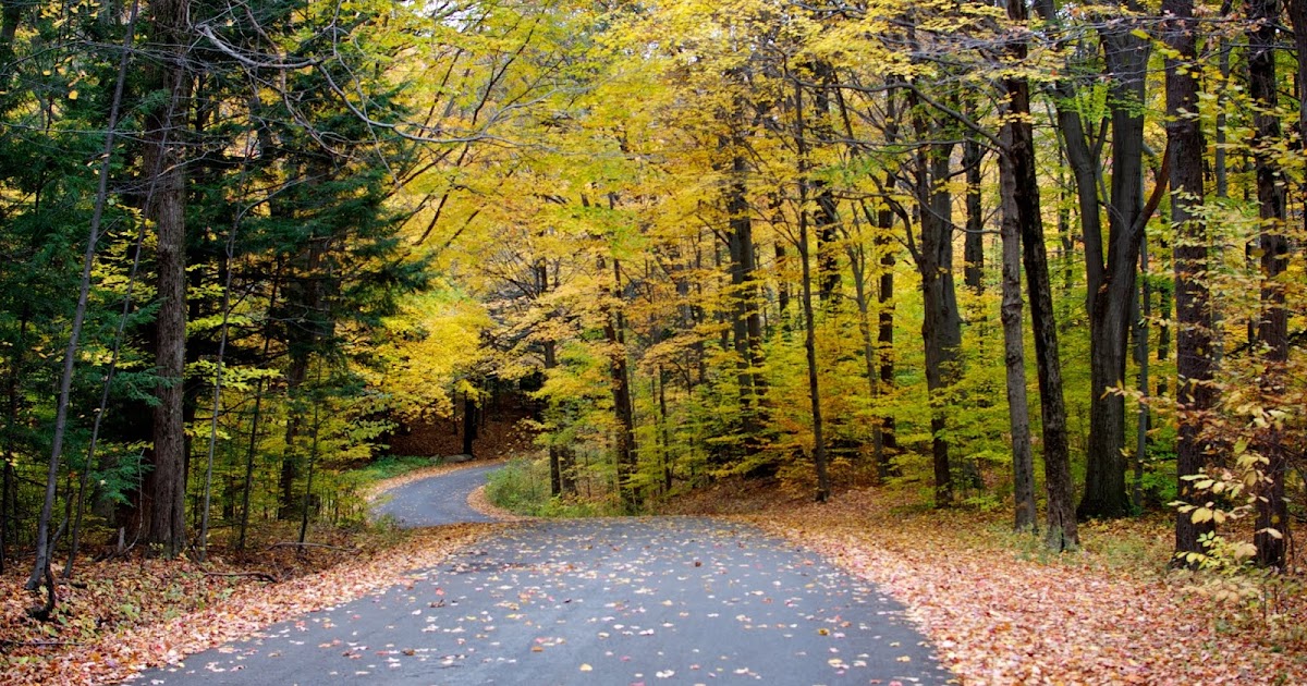 MyPhotoPics: Chestnut Ridge Park