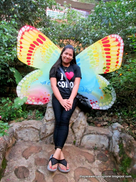 BUTTERFLY ECO-GARDEN and TRIBAL VILLAGE | The Palaweña Explorer
