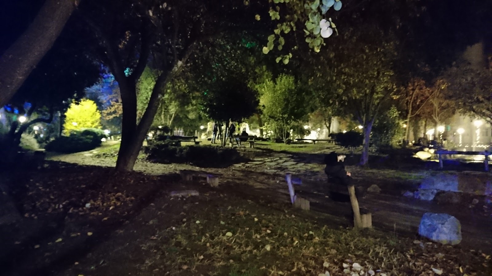 ΚΑΤΕΡΙΝΗ : «ΤΟ ΠΑΡΚΟ ΤΩΝ ΧΡΩΜΑΤΩΝ» ( Φωτο )
