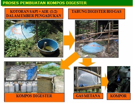 Cara Membuat Biogas Dari Kotoran Sapi ~ Save Our Earth