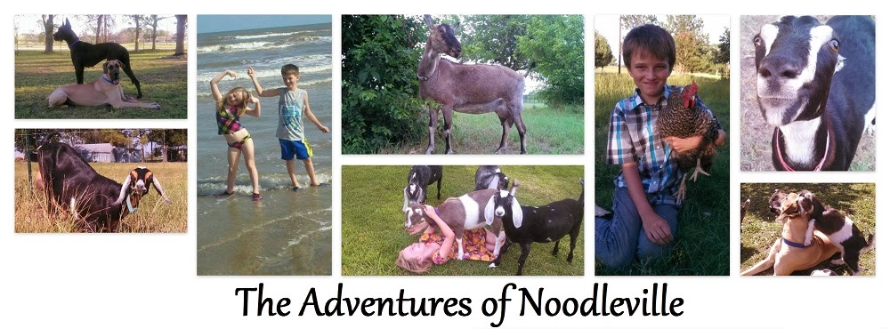 The Adventures of Noodleville: A Noodleville "How To": Copper Bolusing