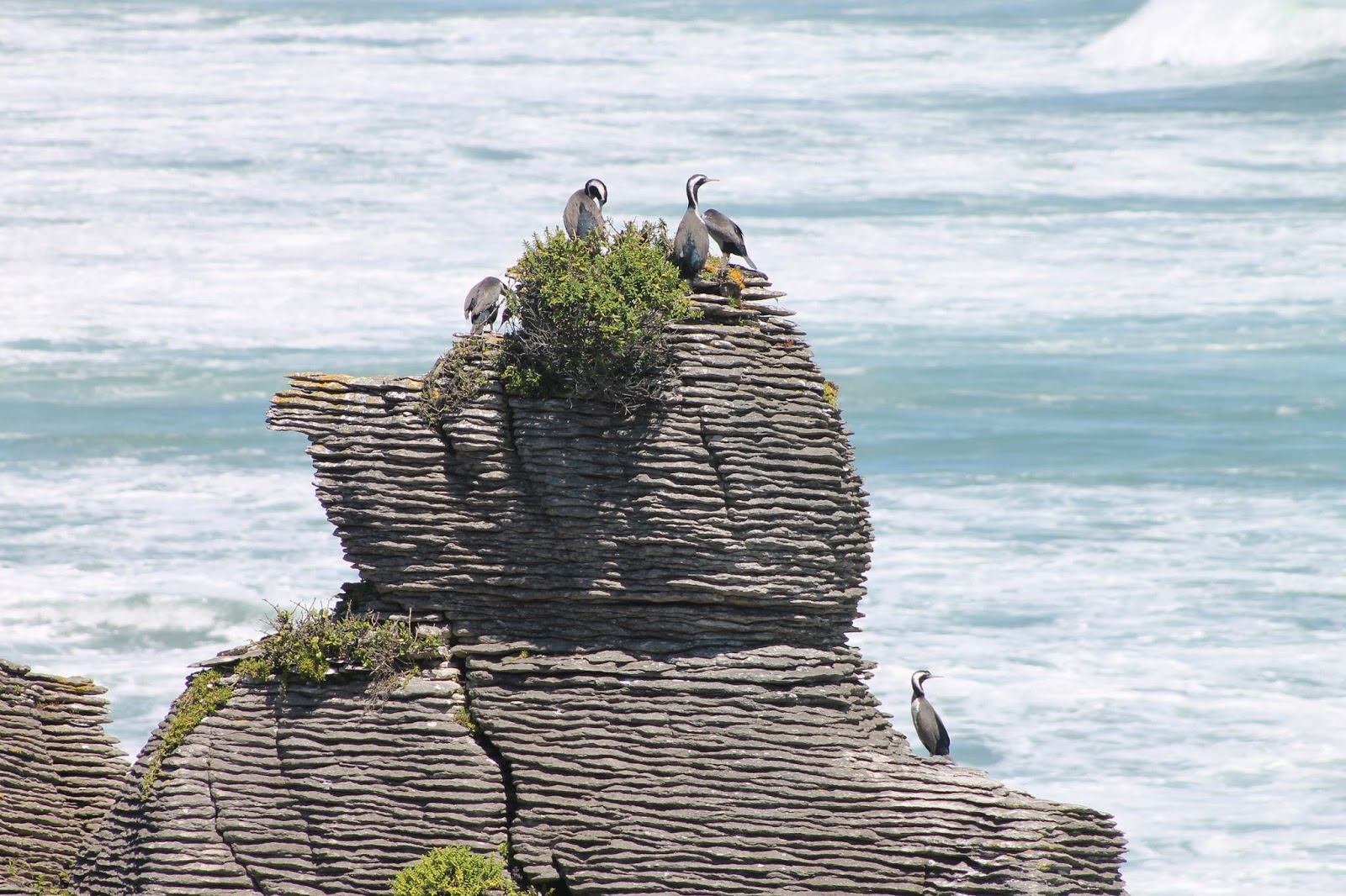 FunDay Travel Tips: Punakaiki Pancake Rocks and Blowholes (NZ Day 10 ...