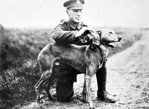 Recensione: PER TE QUALSIASI COSA di Sam Angus