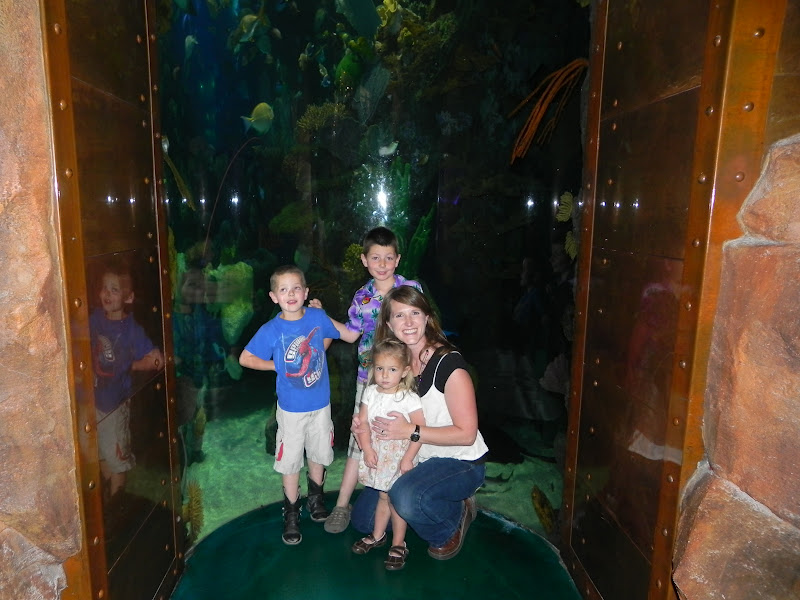 Ward Family: Spring Break - - Mermaids and Bass Pro Shop