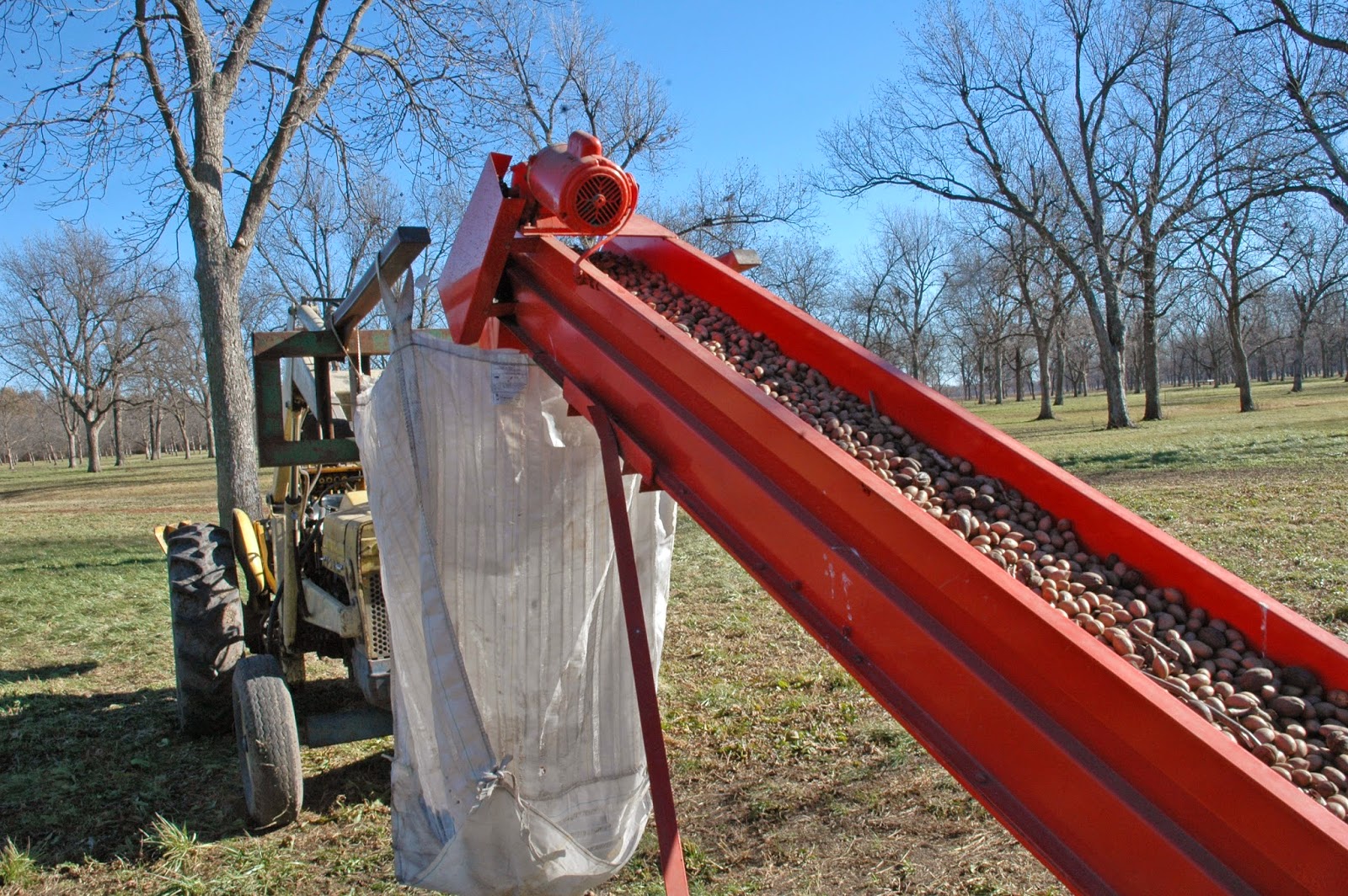 Northern Pecans: November 2014
