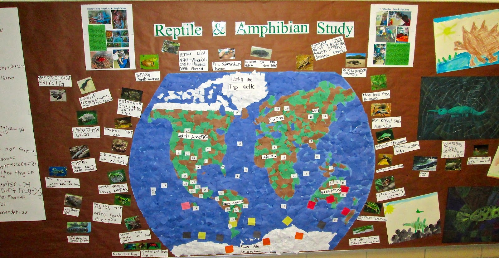 Mrs. Garrabrant's Classroom: Preparing For Our Reptile/Amphibian Open ...