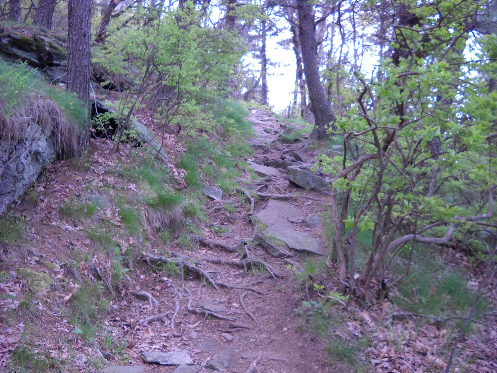 Travel in Retirement: Appalachian Trail - Hogpen Gap to Neels Gap