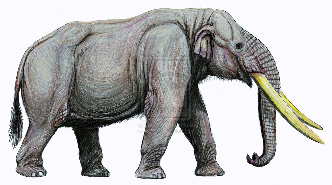 Paleontología en Colombia: Mastodontes en Colombia (I Parte)