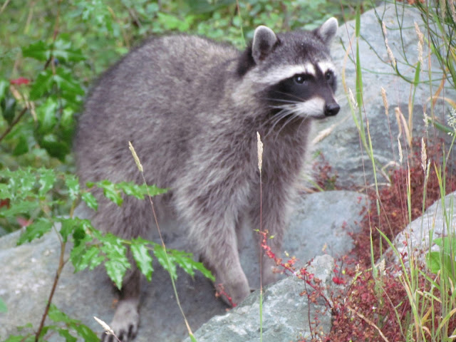 Scene Through My Eyes: What We Did On Our Vacation - Part Three