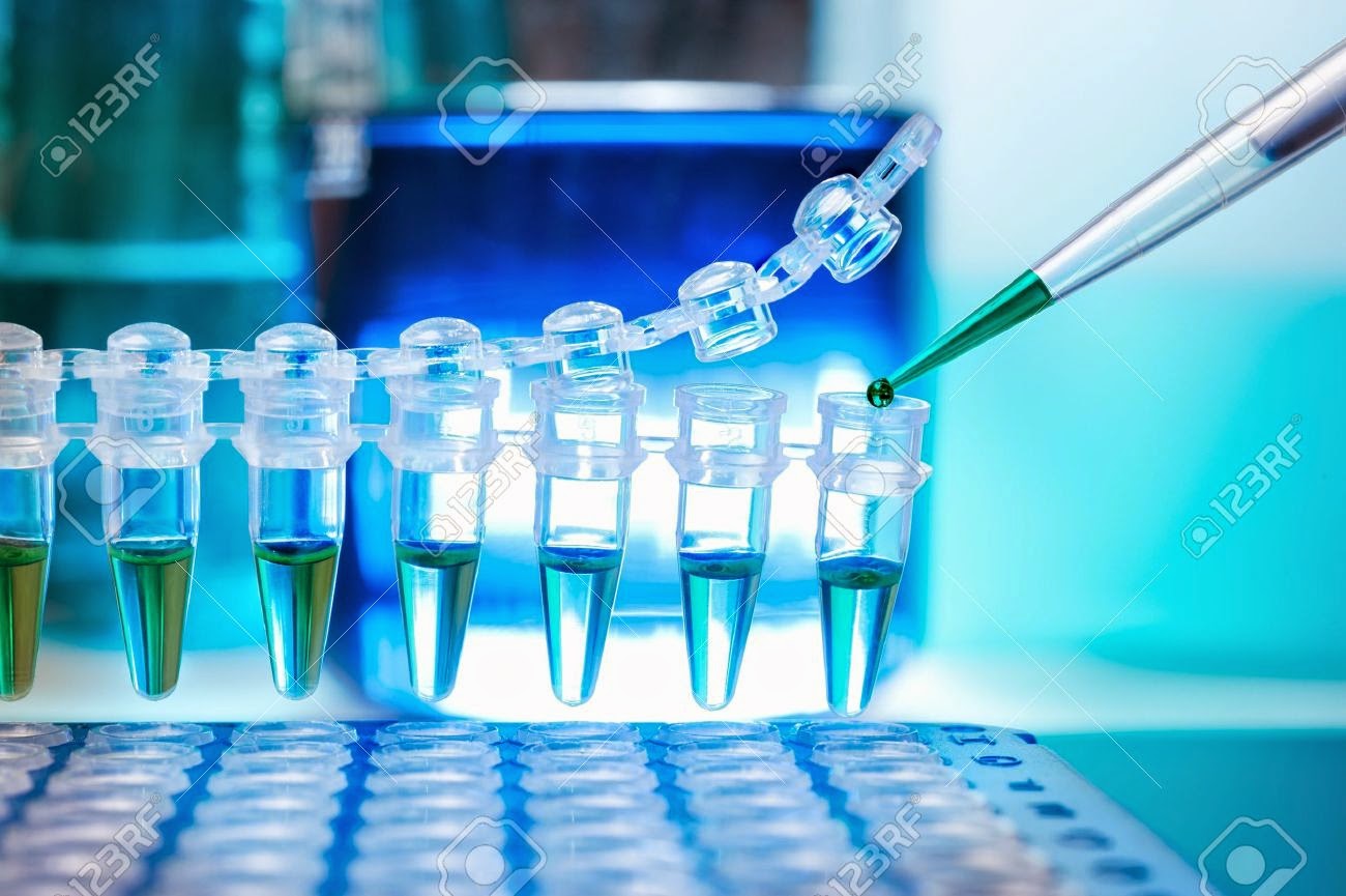 Reacción en cadena de la polimerasa (Polymerase Chain Reaction, PCR ...