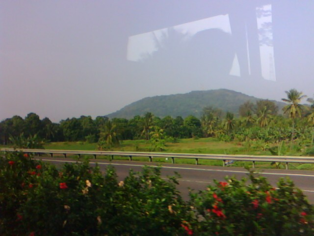 Belajar lewat tutorial: Taman di tepi jalan