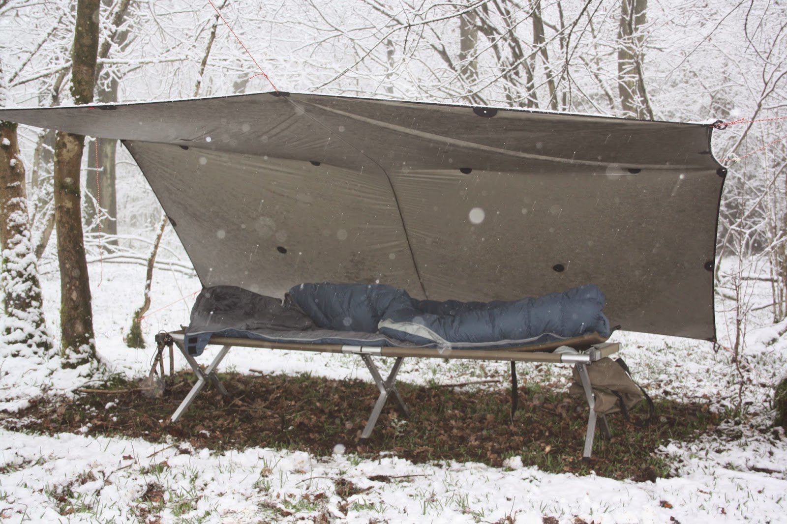 Wilderness Survival Skills - Joe O'Leary: Need a tarp?