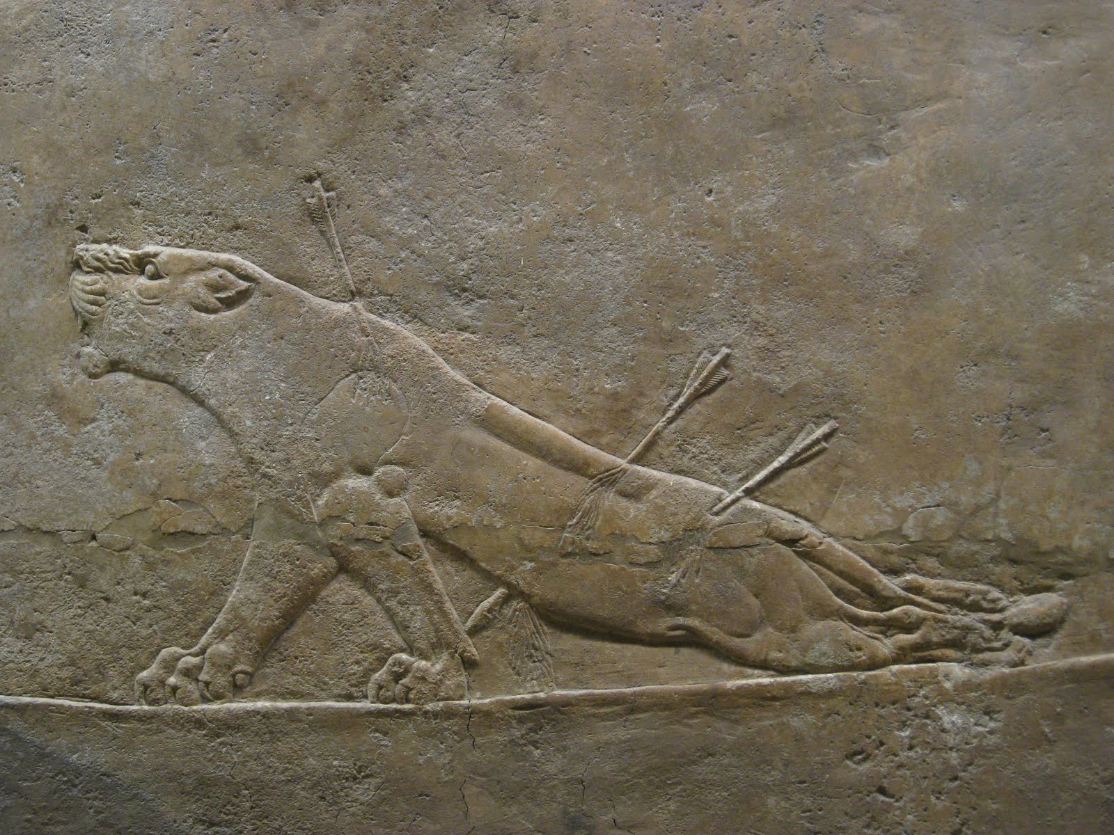 Shadows & Light: Hunting Lions